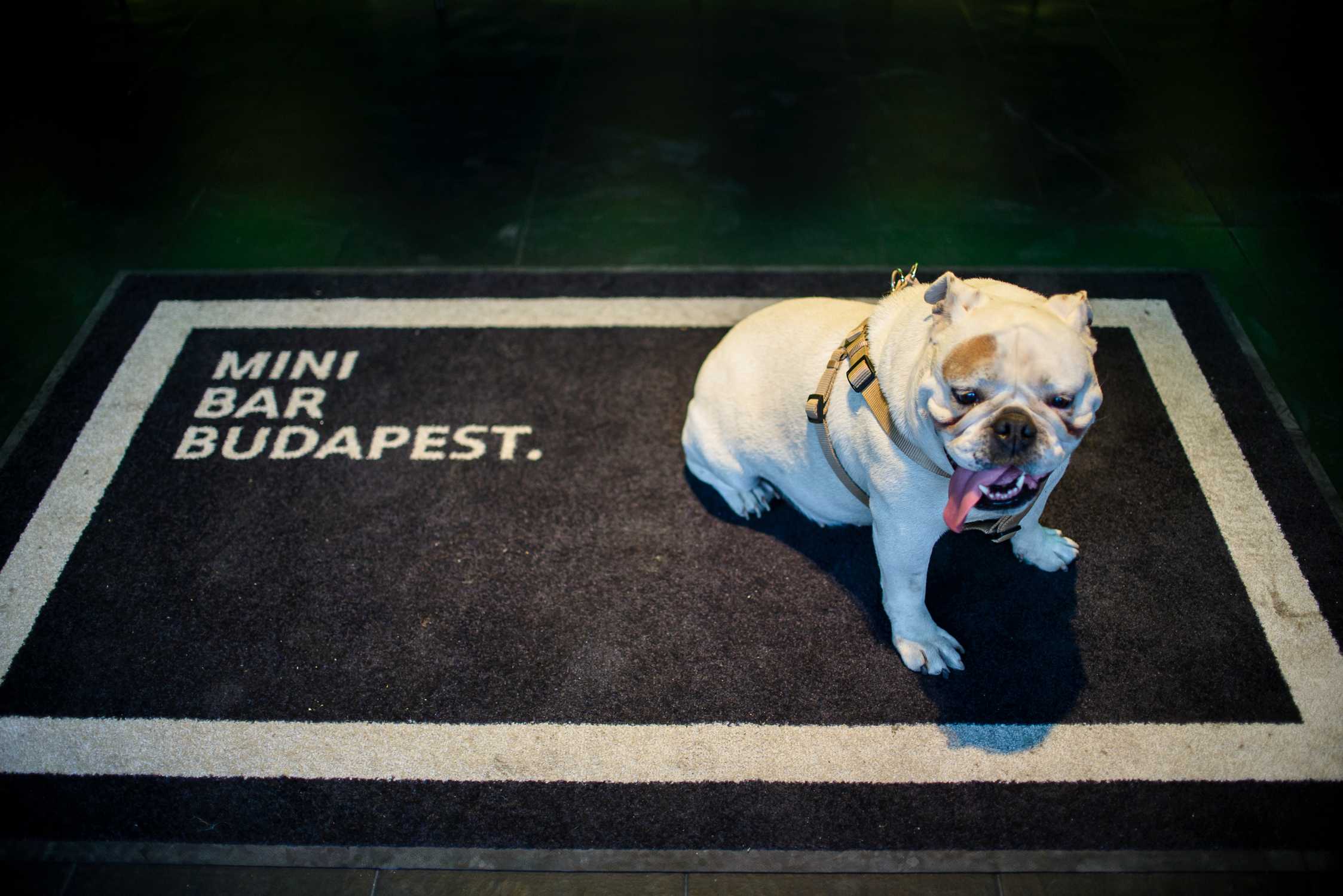 MINI BAR BUDAPEST (04/2014)