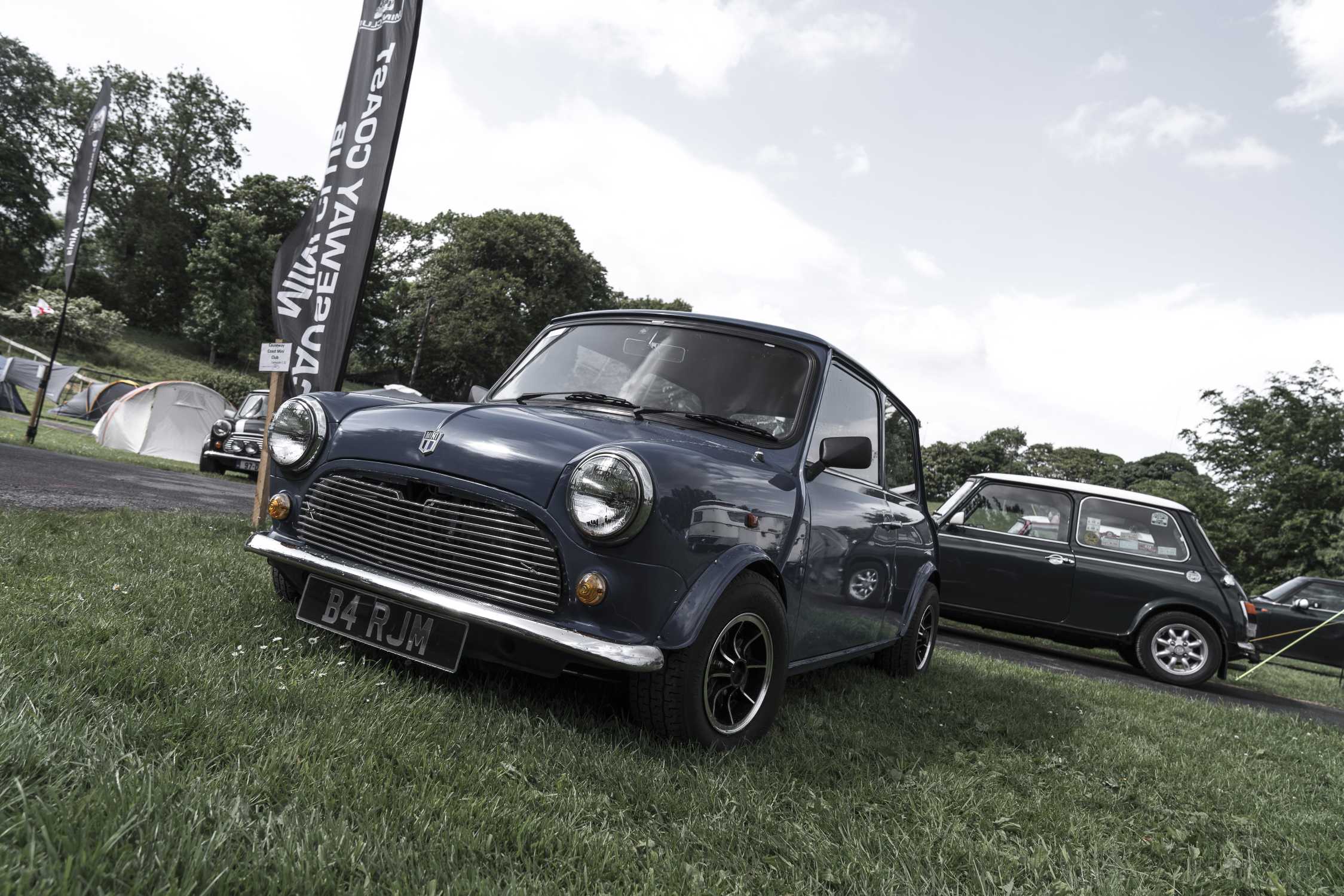 International Mini Meeting 2017. (06/2017)