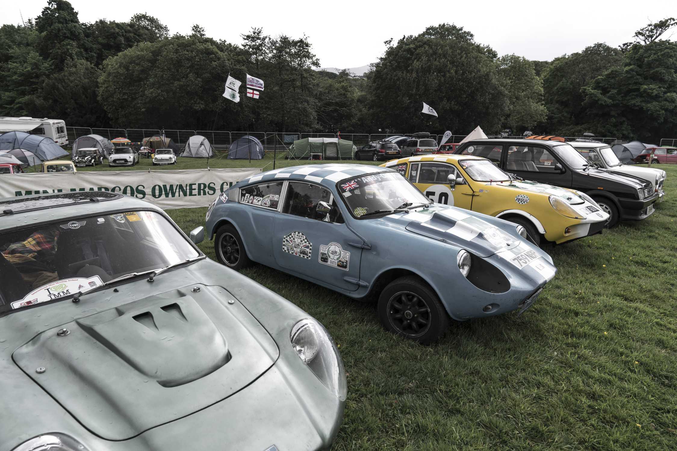 International Mini Meeting 2017. (06/2017)