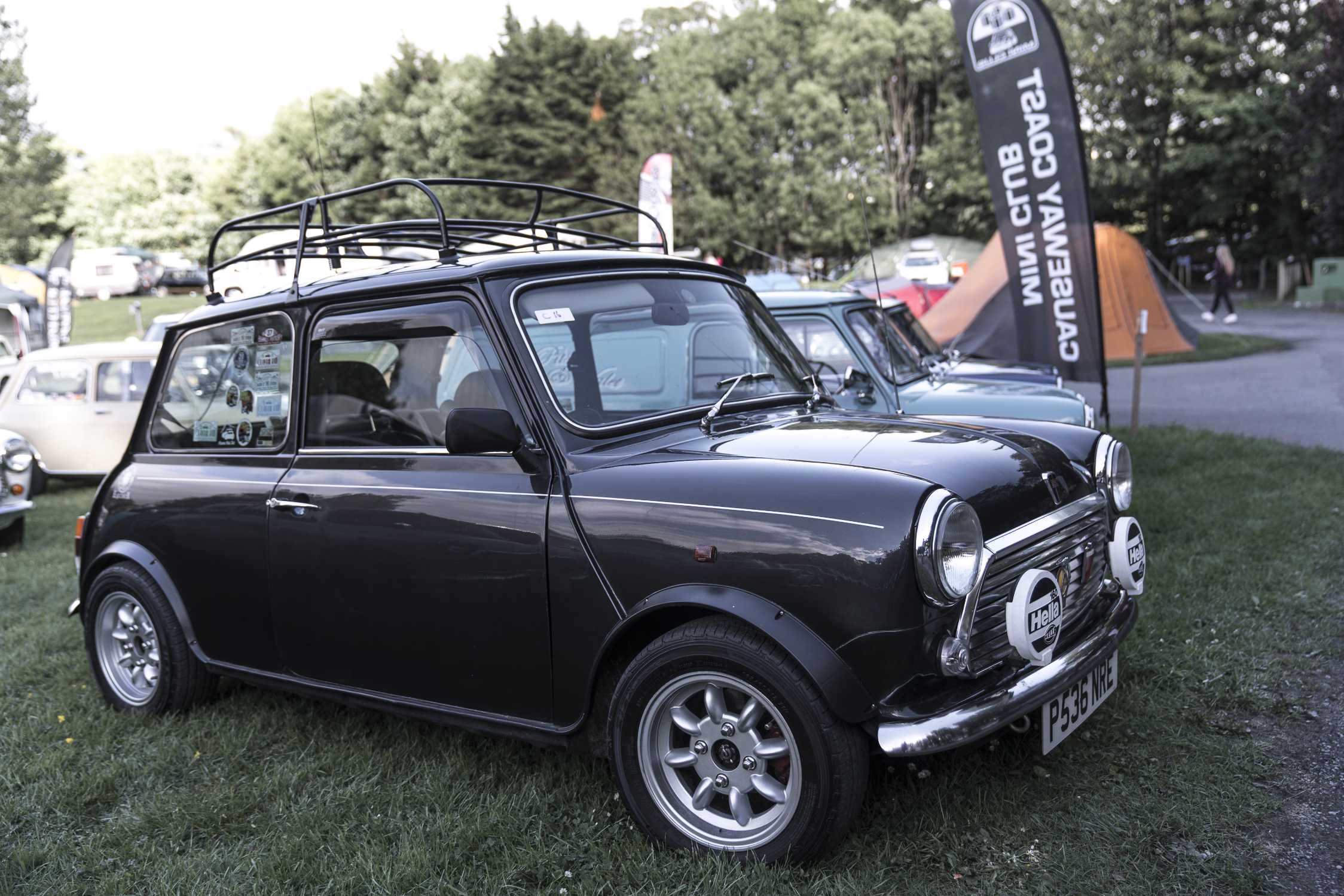 International Mini Meeting 2017. (06/2017)