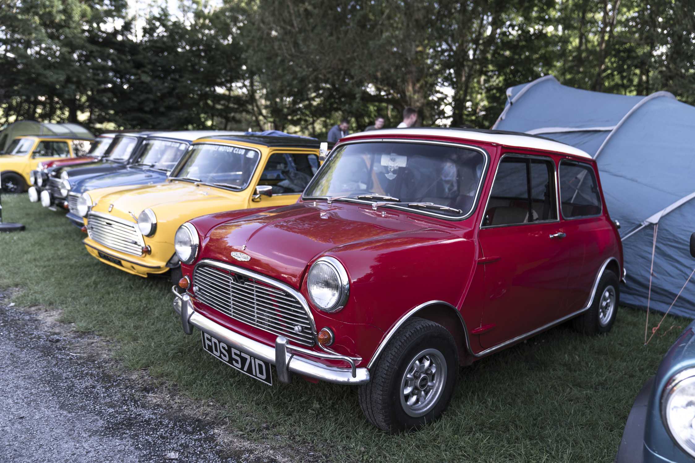 International Mini Meeting 2017. (06/2017)