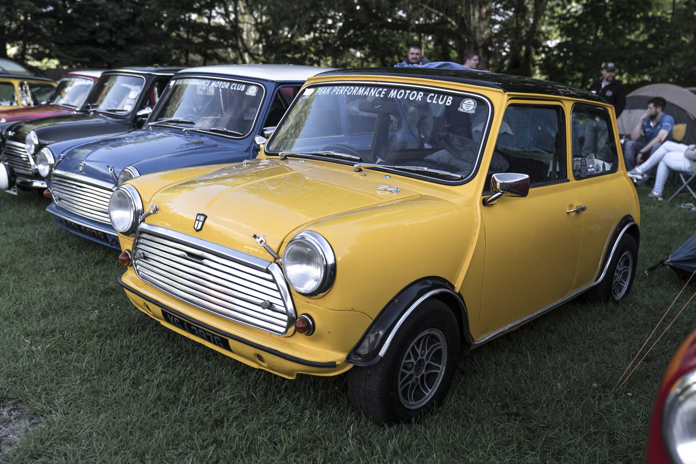 International Mini Meeting 2017. (06/2017)