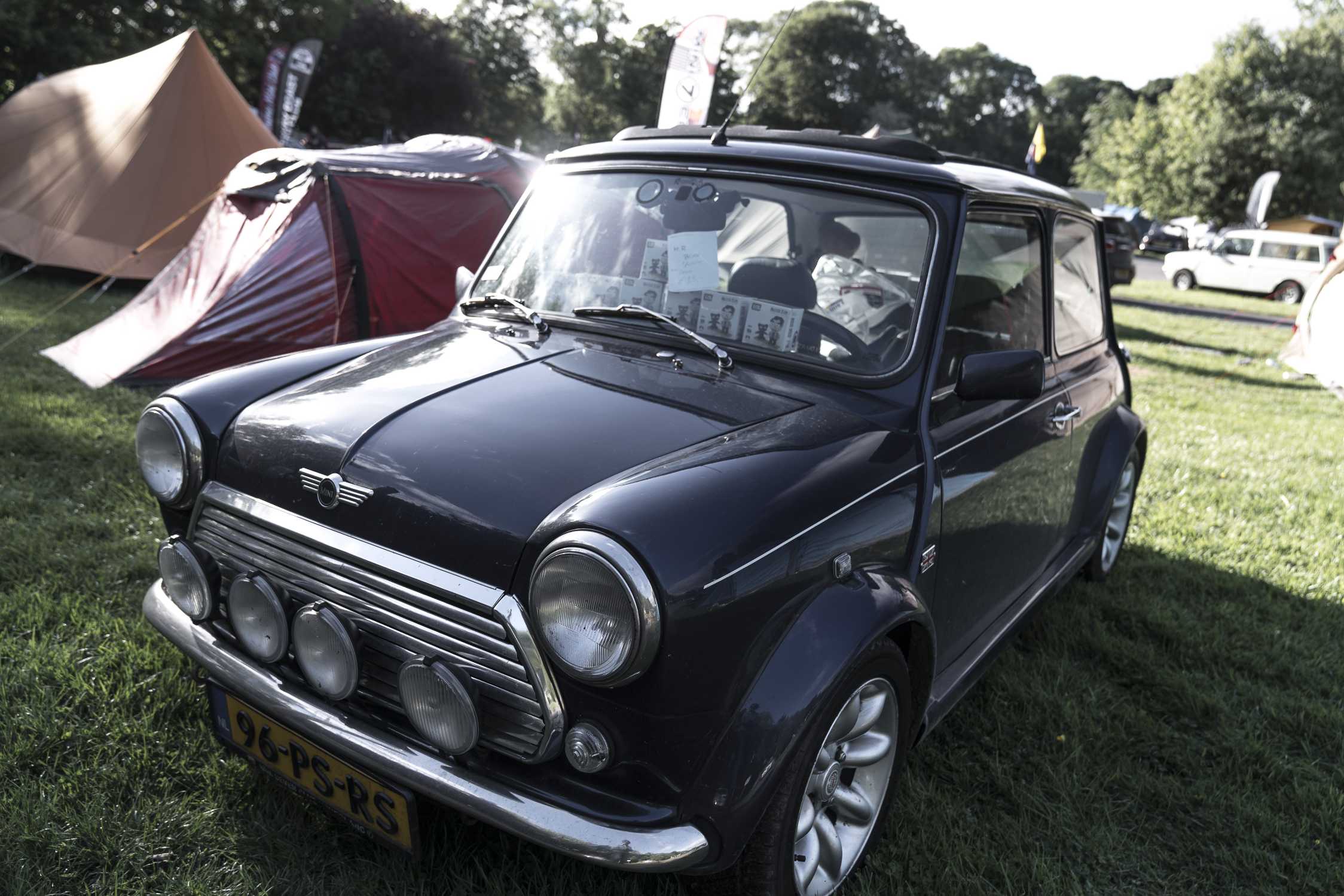 International Mini Meeting 2017. (06/2017)