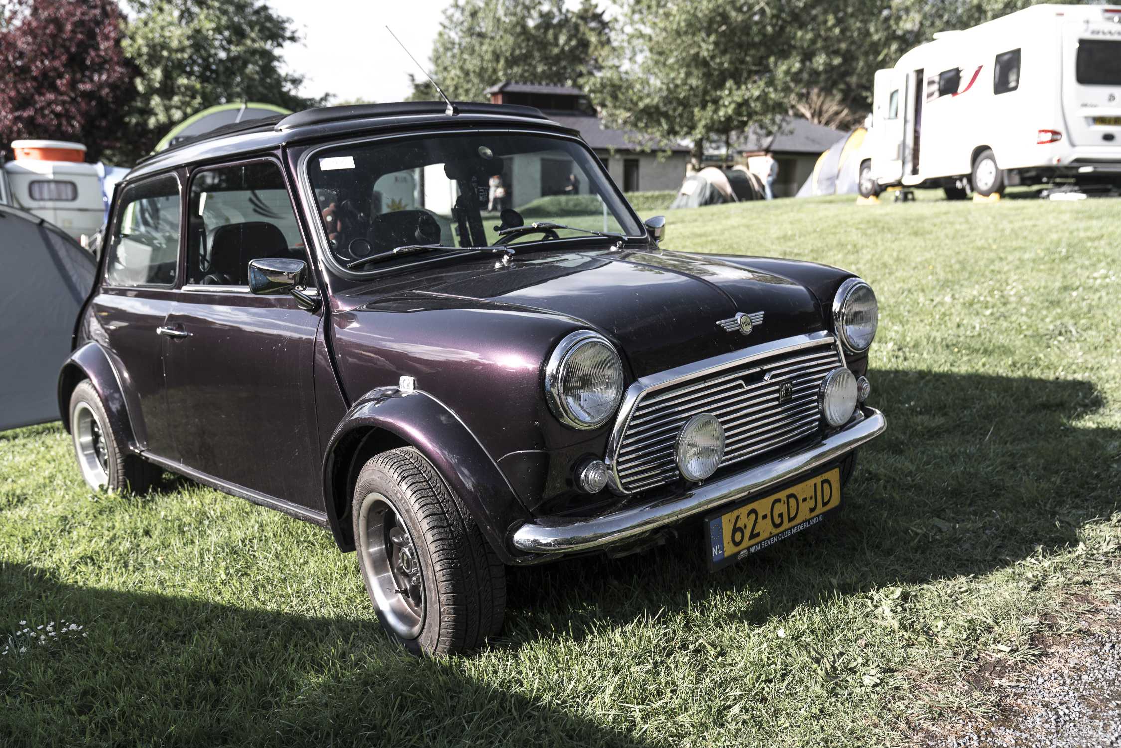 International Mini Meeting 2017. (06/2017)