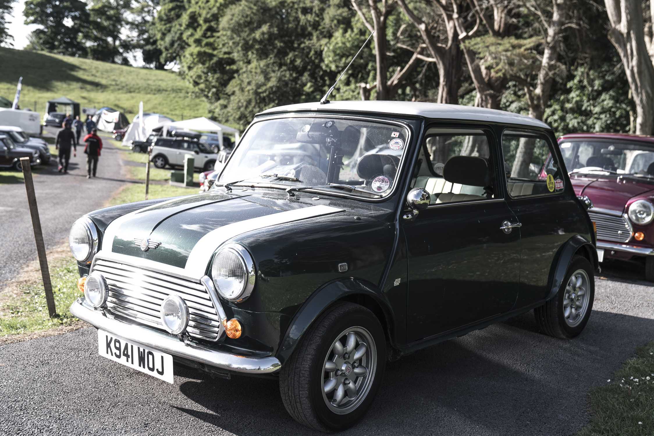 International Mini Meeting 2017. (06/2017)