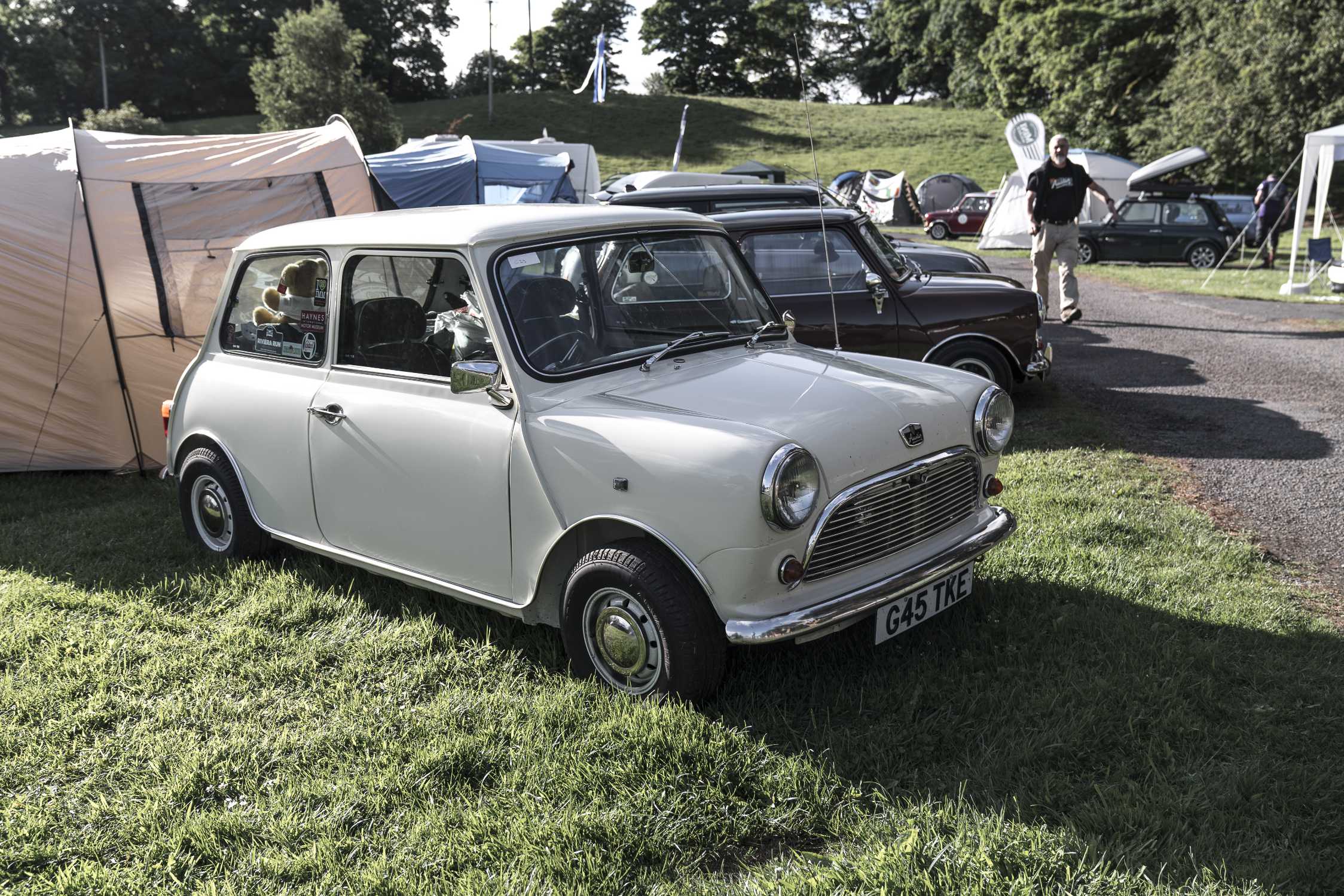 International Mini Meeting 2017. (06/2017)