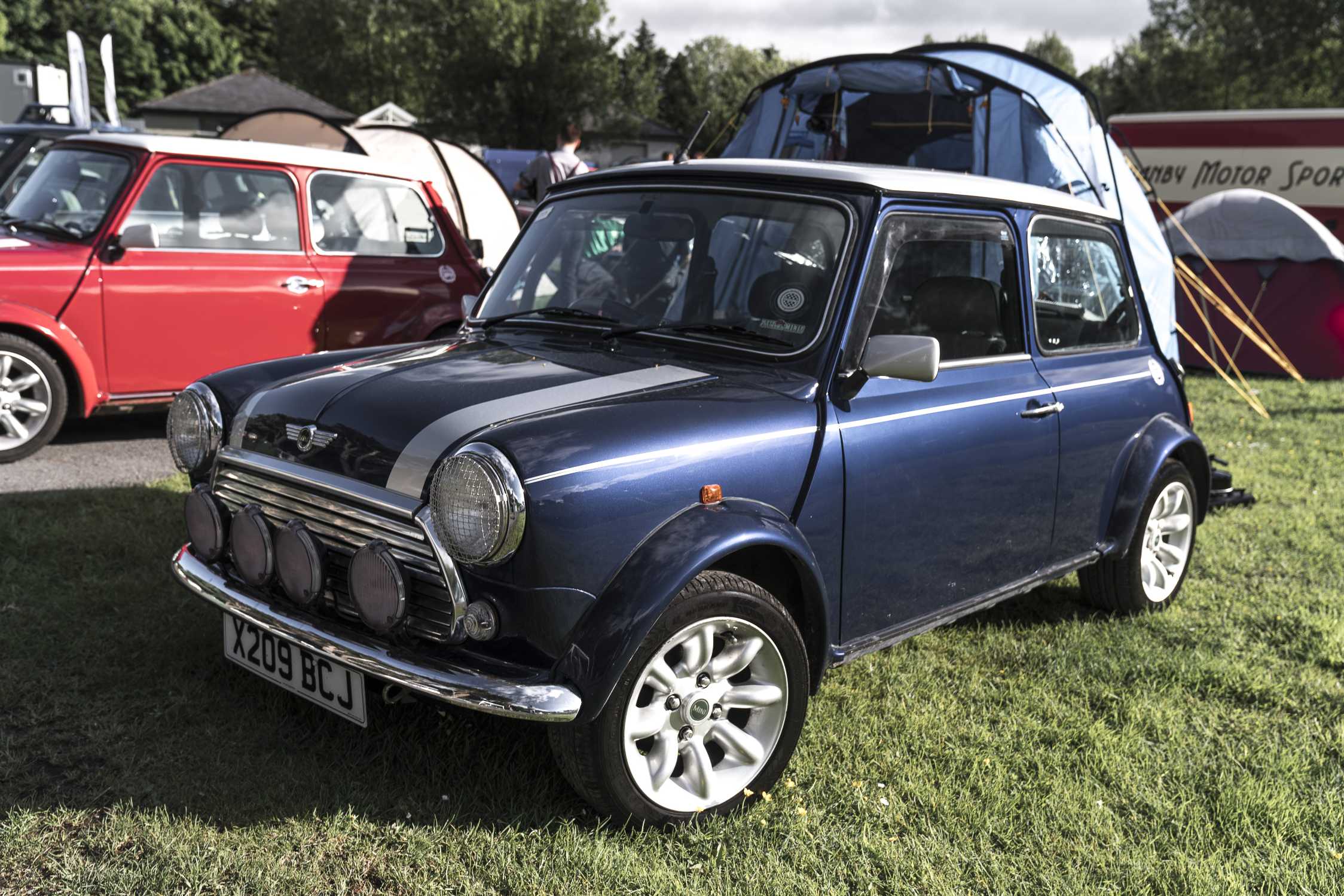 International Mini Meeting 2017. (06/2017)