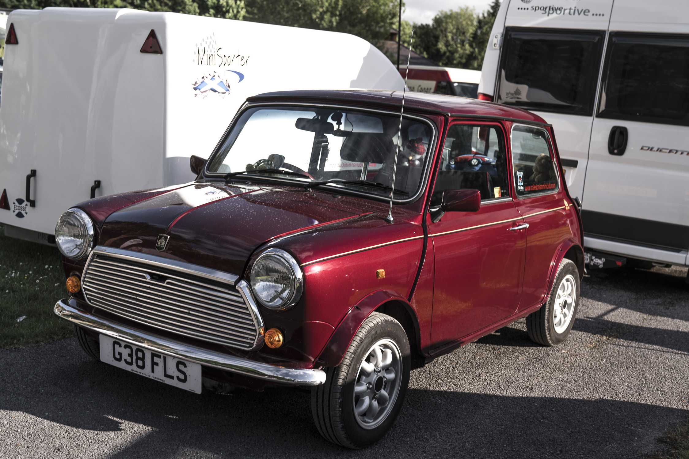 International Mini Meeting 2017. (06/2017)