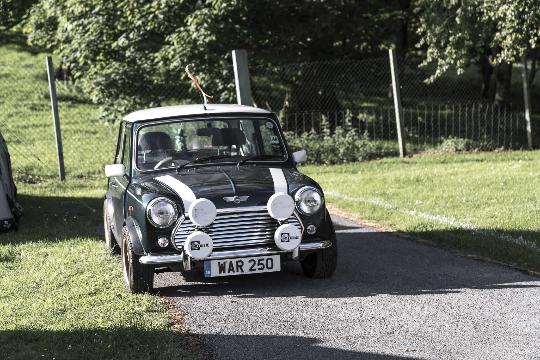 International Mini Meeting 2017. (06/2017)