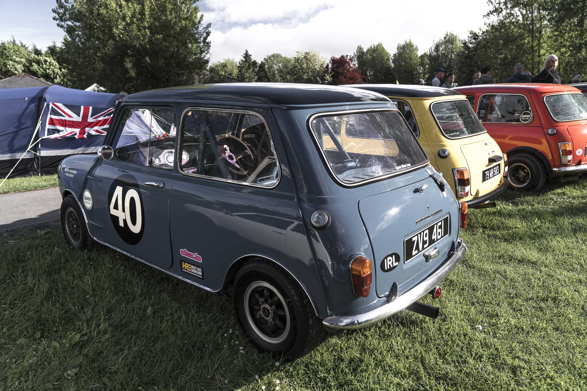 International Mini Meeting 2017. (06/2017)