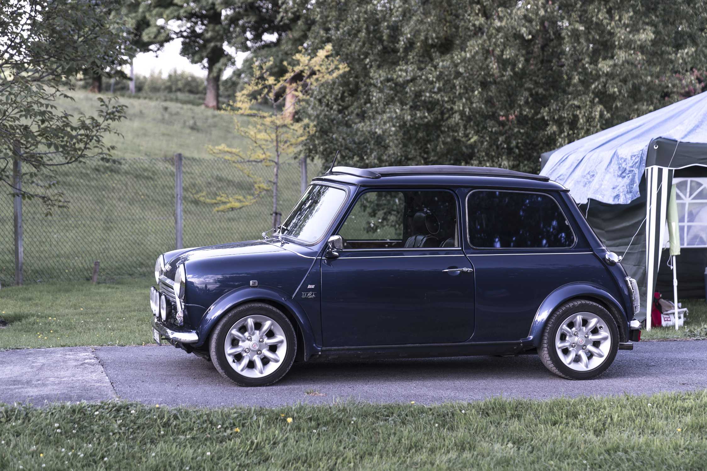International Mini Meeting 2017. (06/2017)