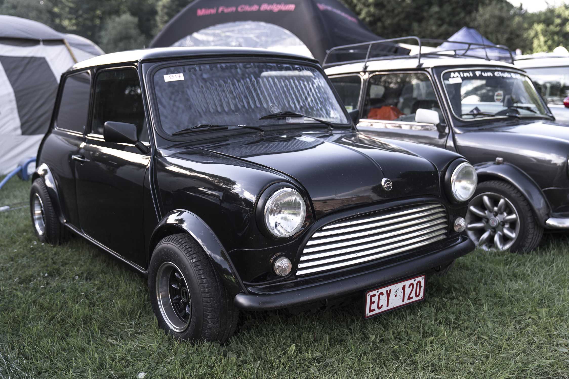 International Mini Meeting 2017. (06/2017)