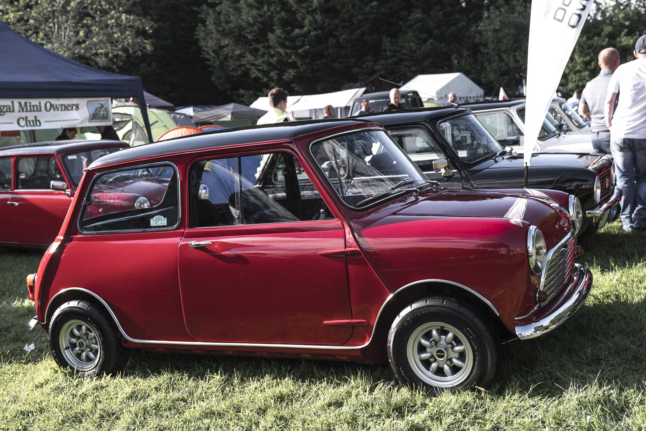 International Mini Meeting 2017. (06/2017)