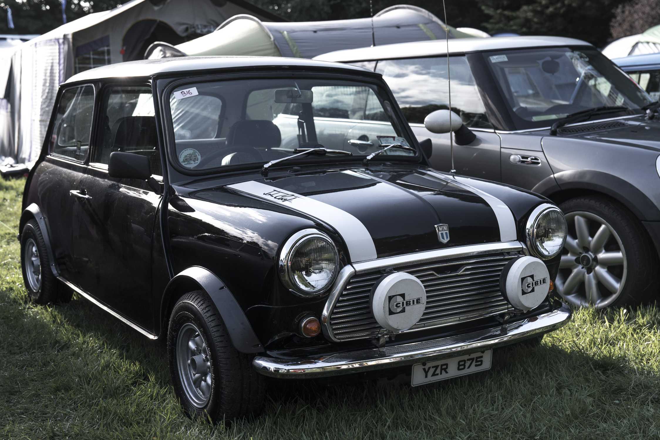 International Mini Meeting 2017. (06/2017)