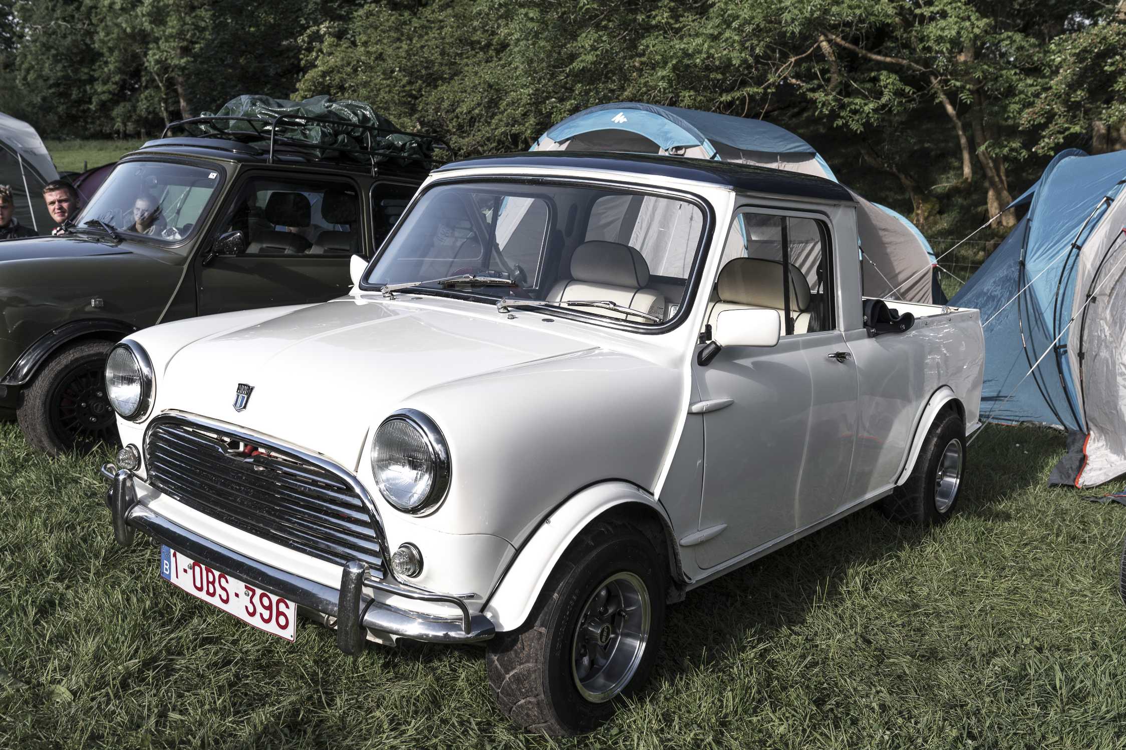 International Mini Meeting 2017. (06/2017)