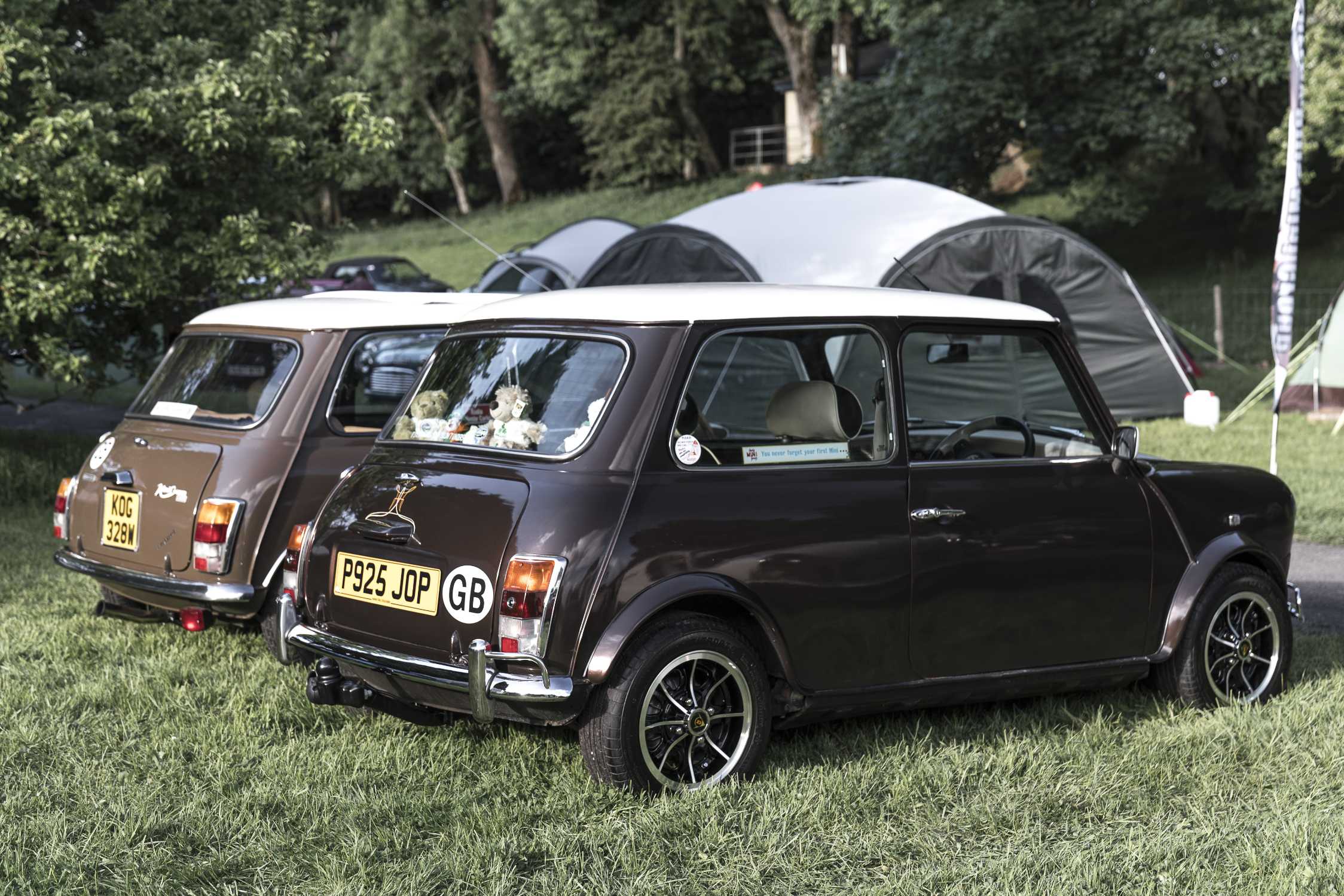 International Mini Meeting 2017. (06/2017)