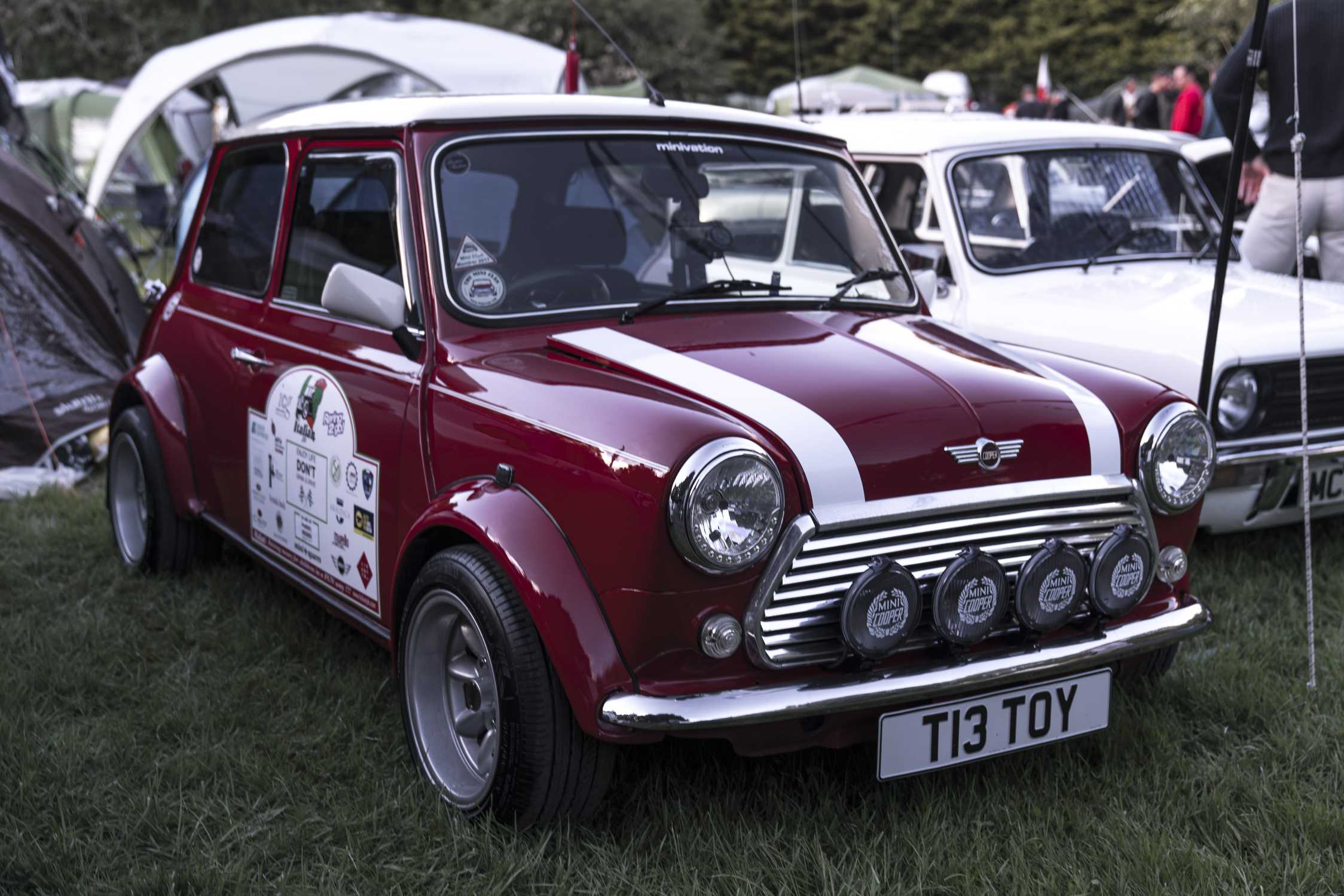 International Mini Meeting 2017. (06/2017)