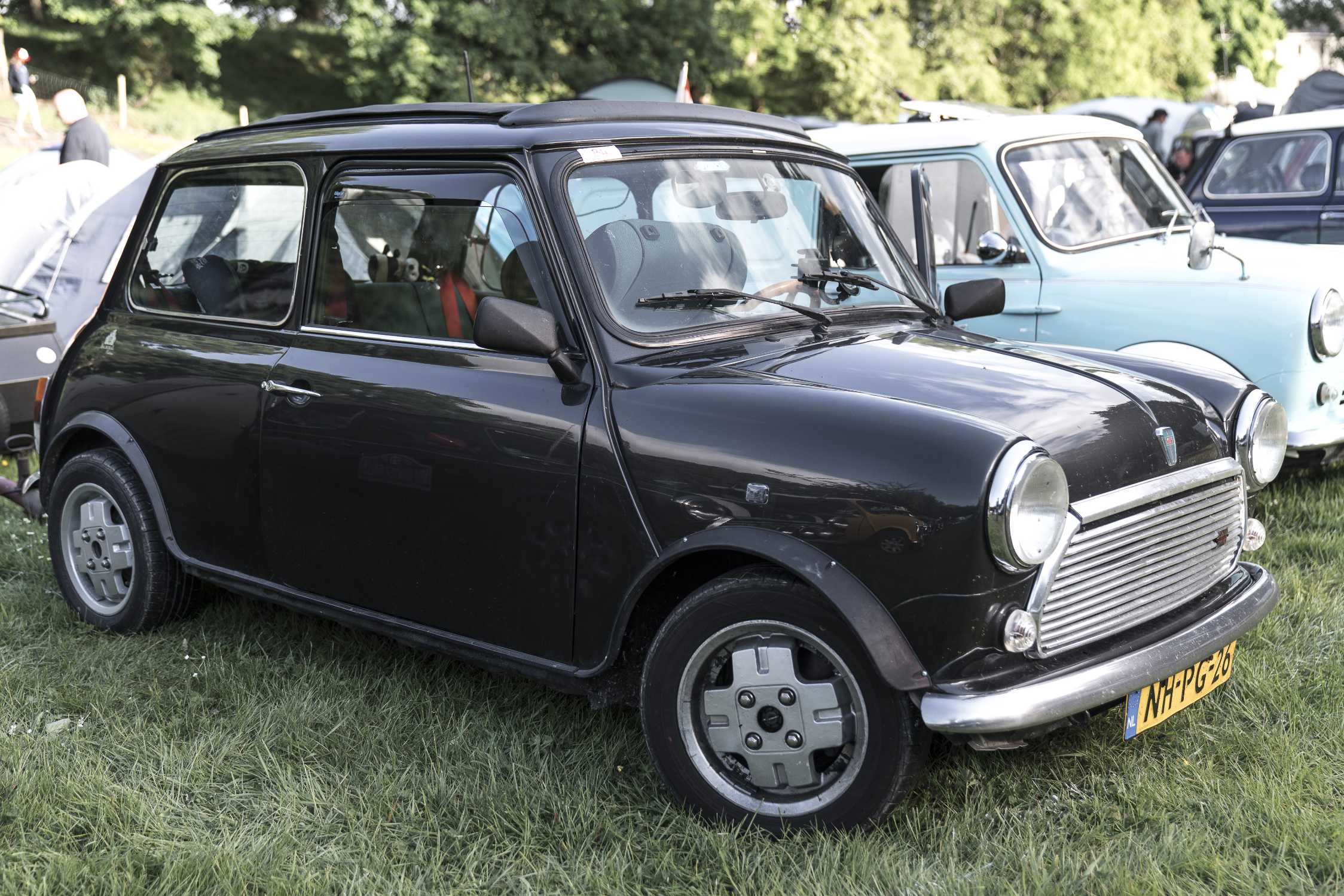 International Mini Meeting 2017. (06/2017)