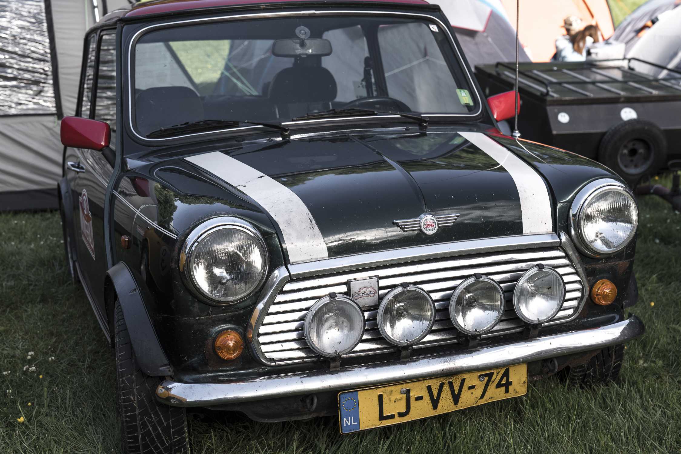 International Mini Meeting 2017. (06/2017)