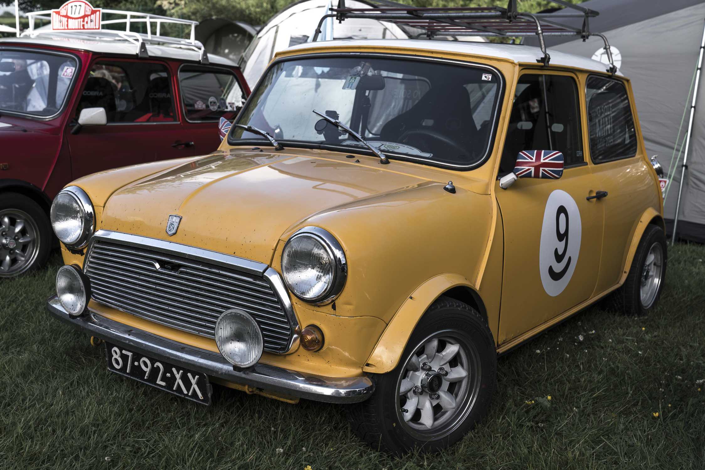 International Mini Meeting 2017. (06/2017)