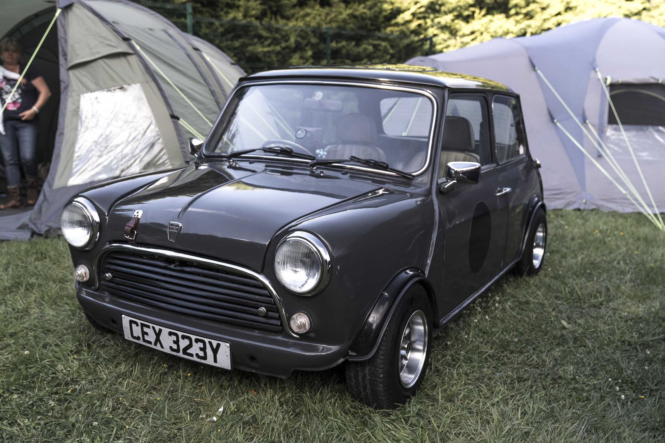 International Mini Meeting 2017. (06/2017)