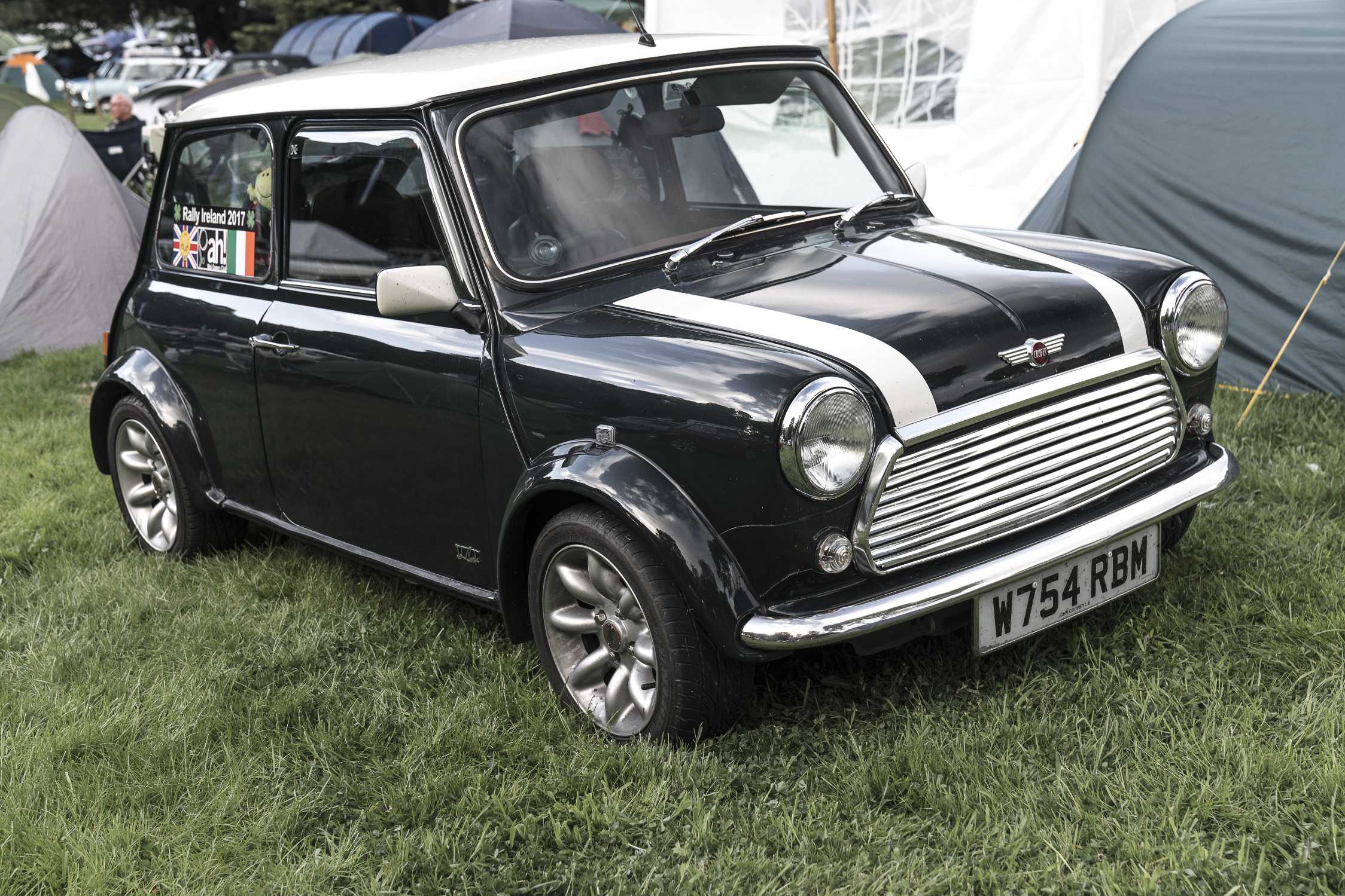 International Mini Meeting 2017. (06/2017)