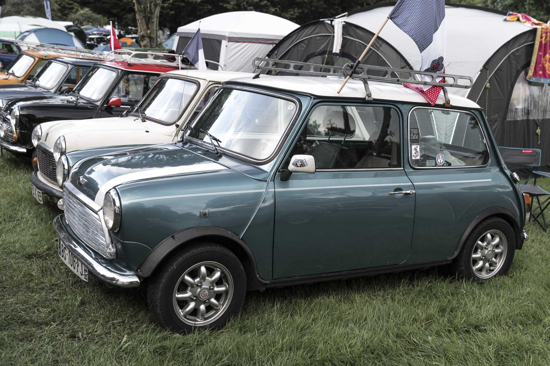 International Mini Meeting 2017. (06/2017)