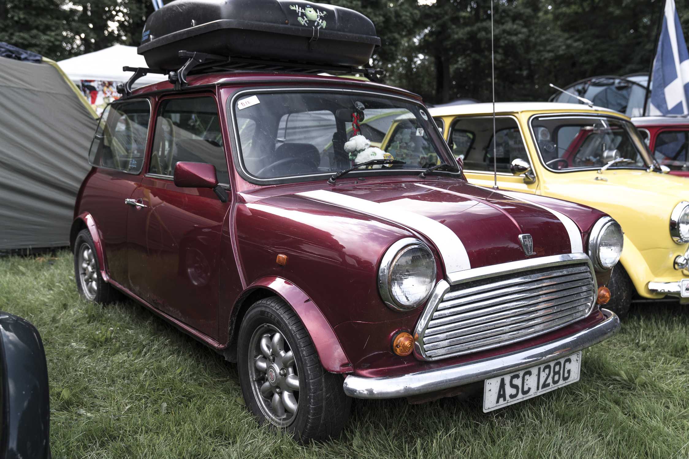 International Mini Meeting 2017. (06/2017)