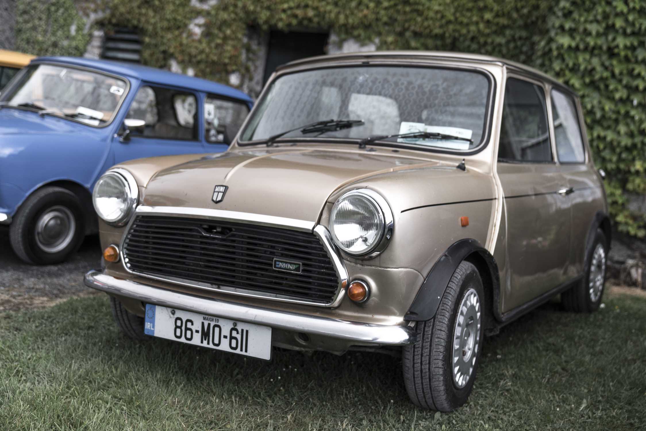 International Mini Meeting 2017. (06/2017)