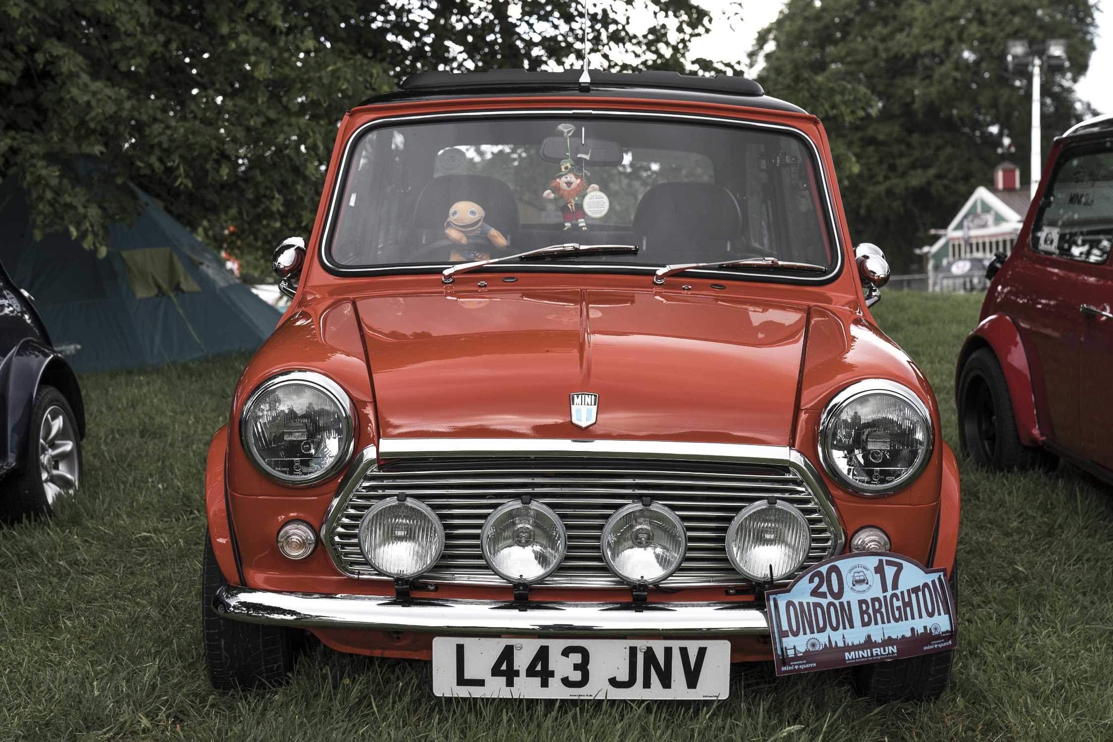 International Mini Meeting 2017. (06/2017)