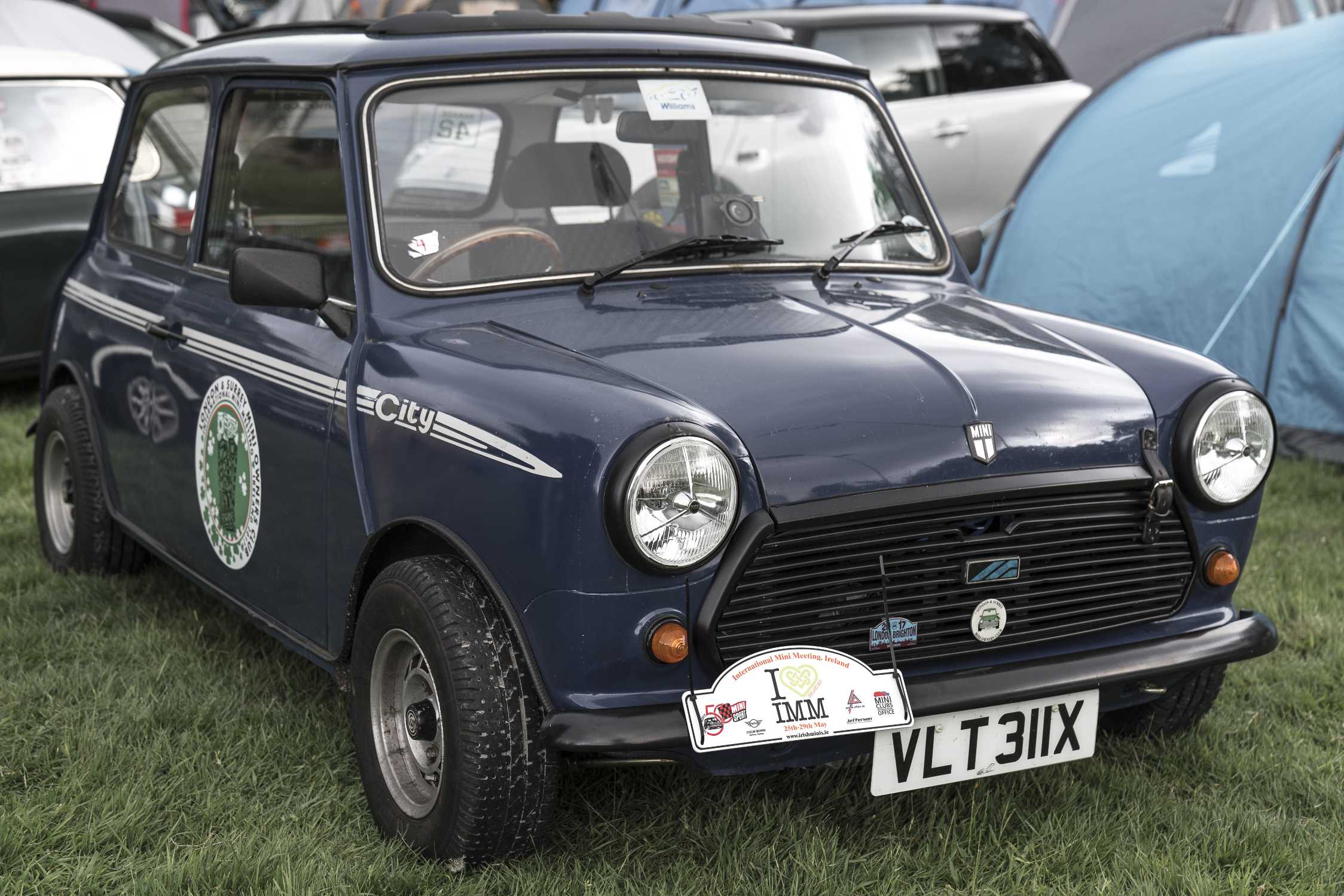 International Mini Meeting 2017. (06/2017)