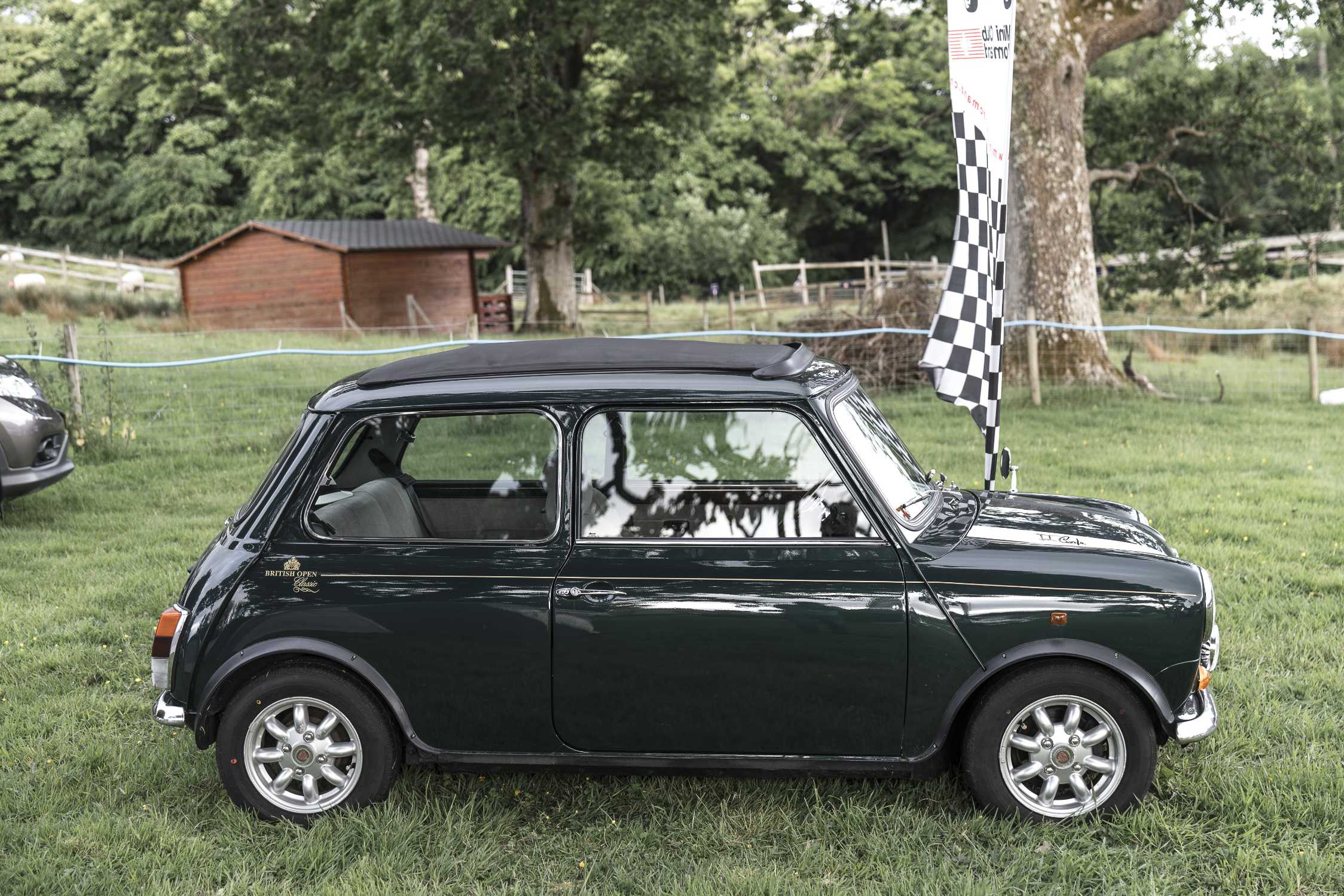 International Mini Meeting 2017. (06/2017)