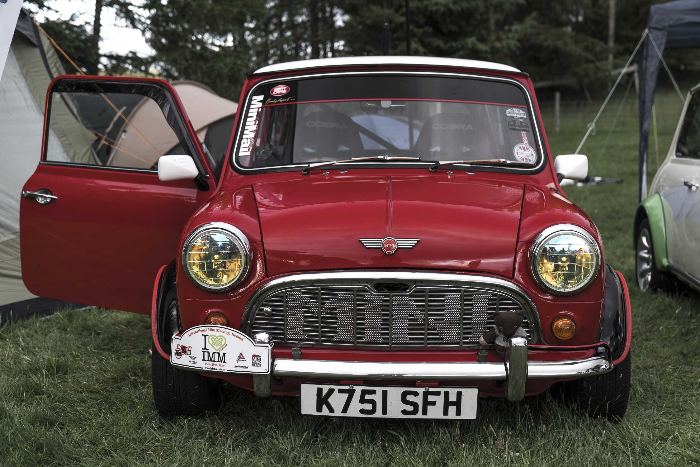 International Mini Meeting 2017. (06/2017)