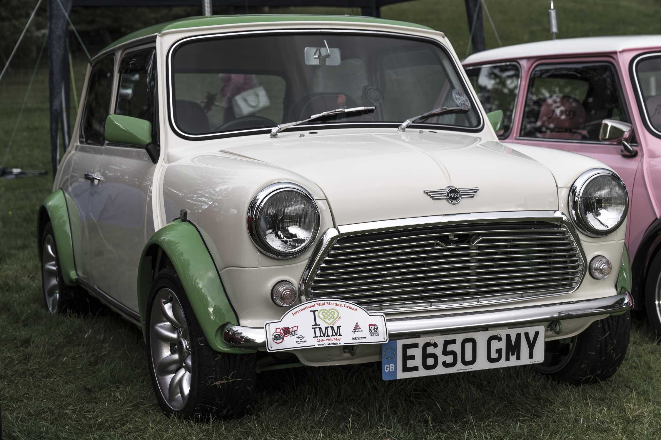 International Mini Meeting 2017. (06/2017)