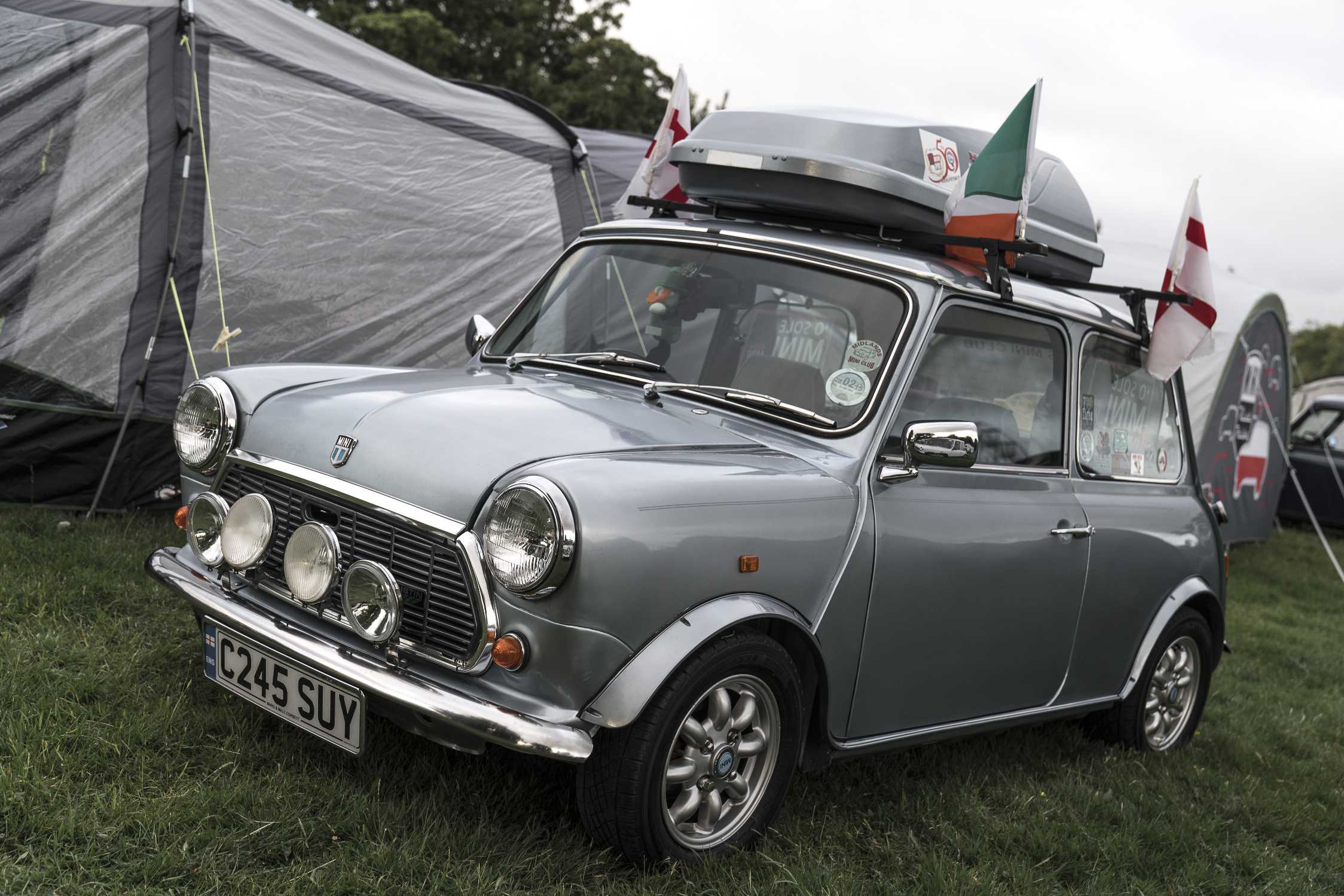 International Mini Meeting 2017. (06/2017)