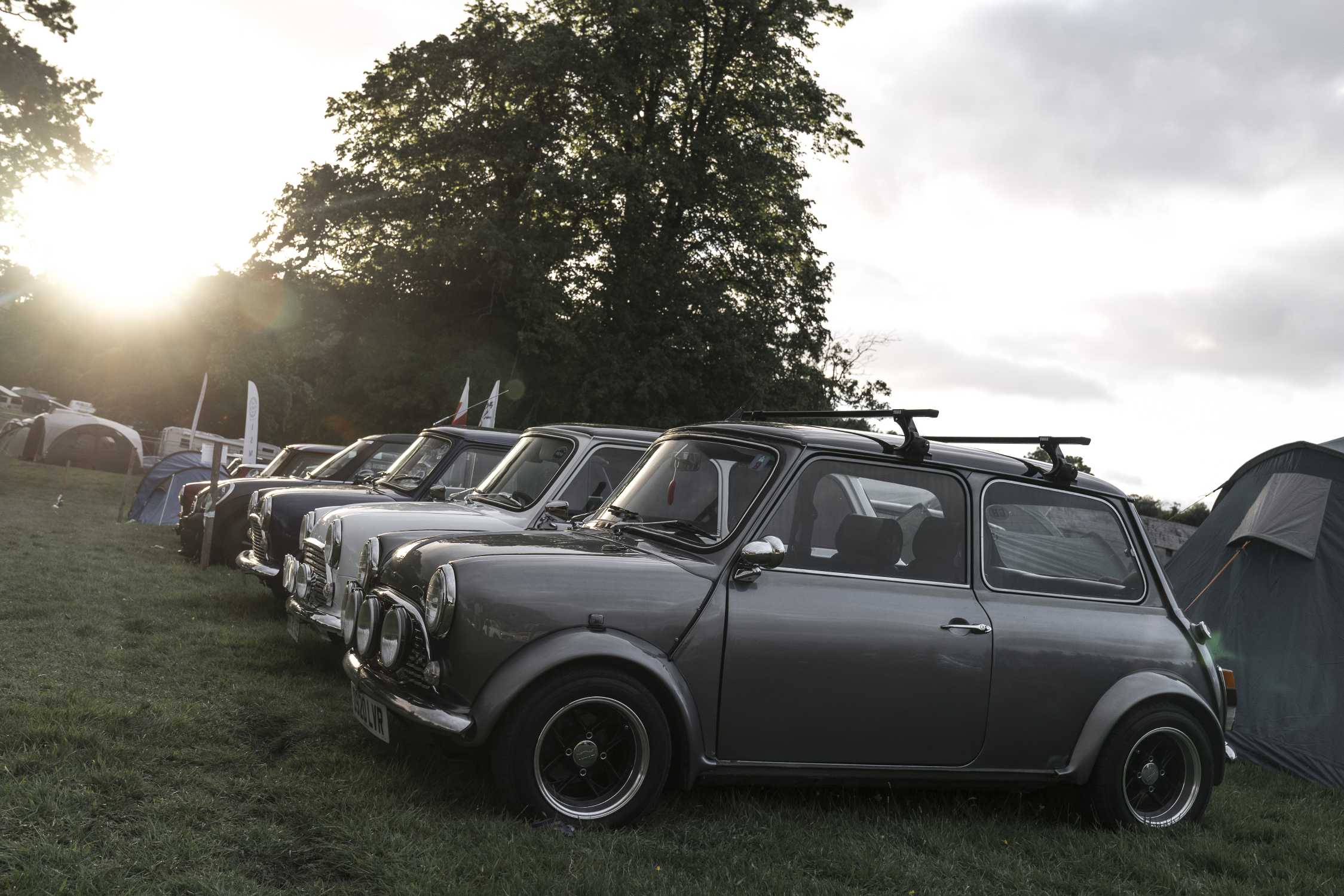 International Mini Meeting 2017. (06/2017)