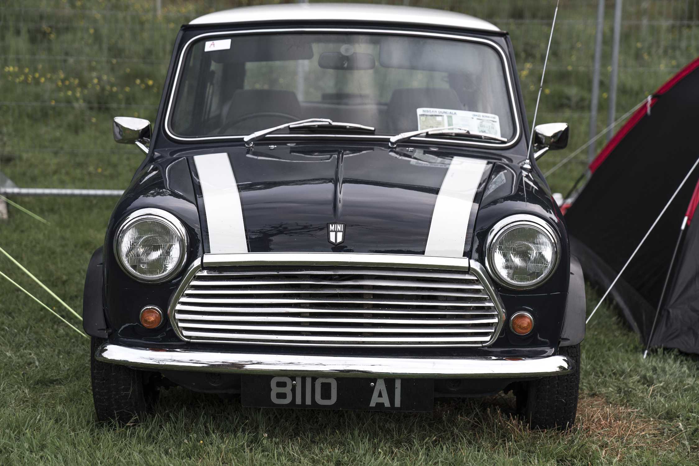 International Mini Meeting 2017. (06/2017)