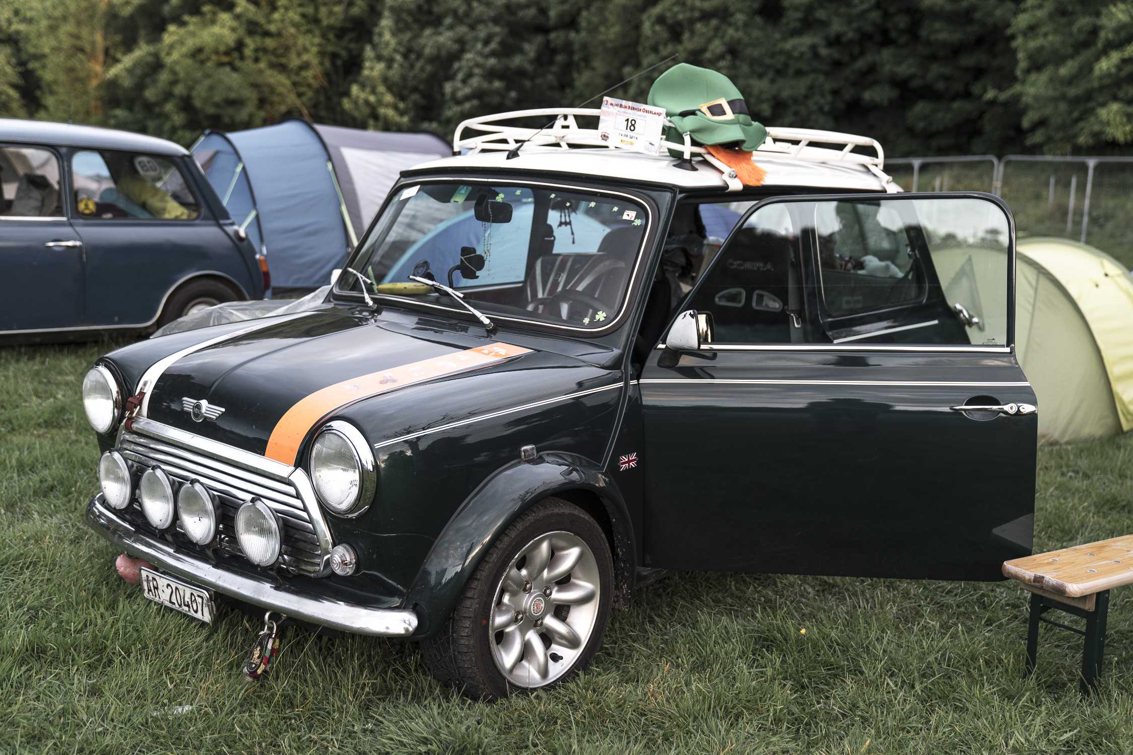 International Mini Meeting 2017. (06/2017)
