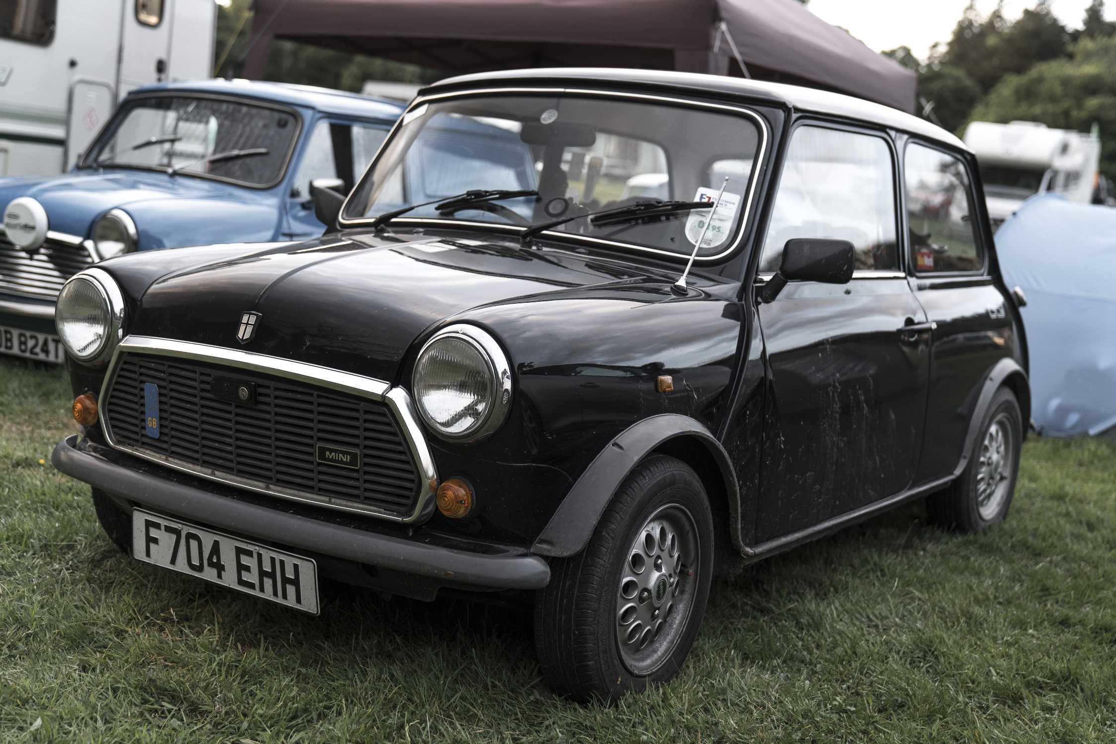 International Mini Meeting 2017. (06/2017)