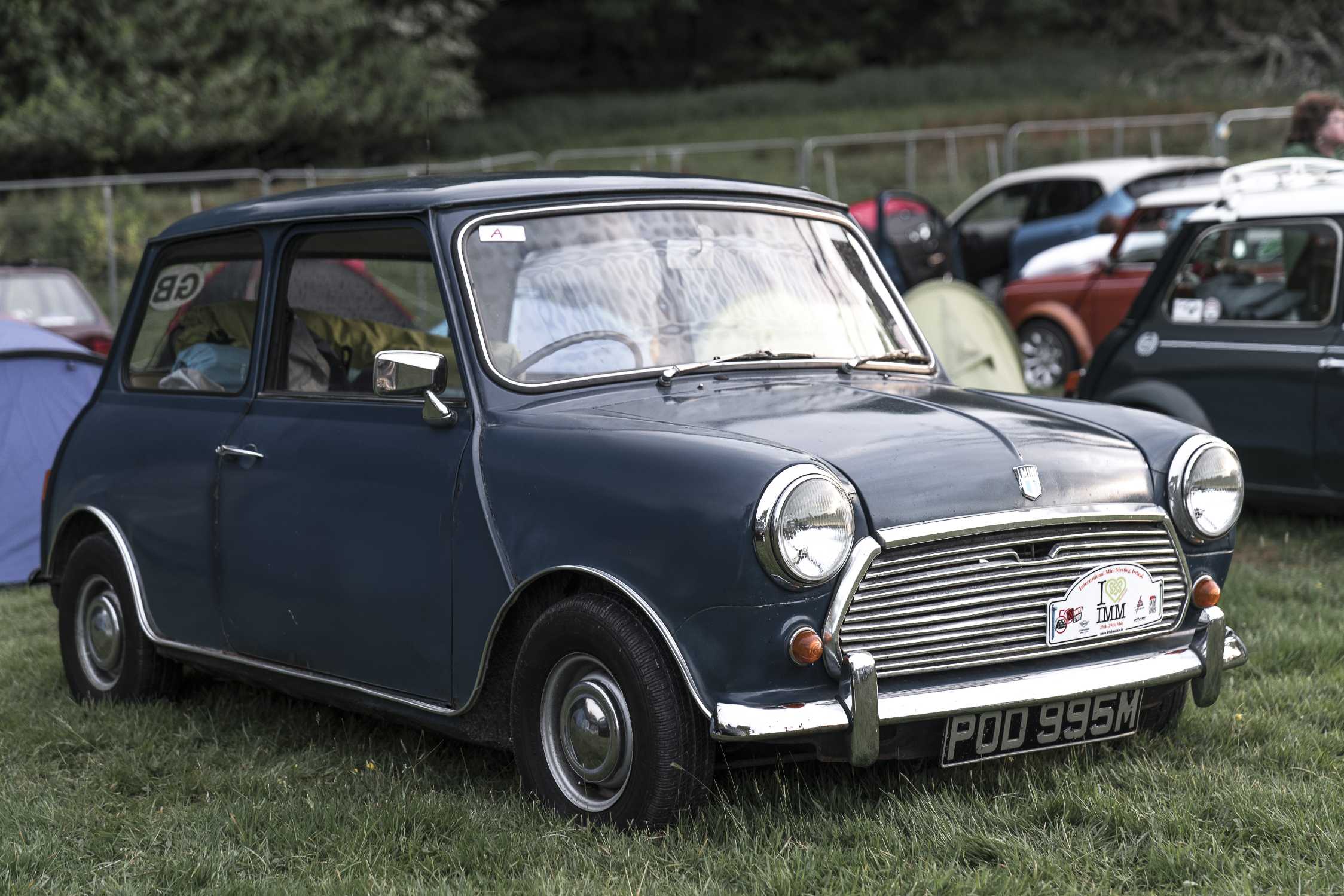 International Mini Meeting 2017. (06/2017)