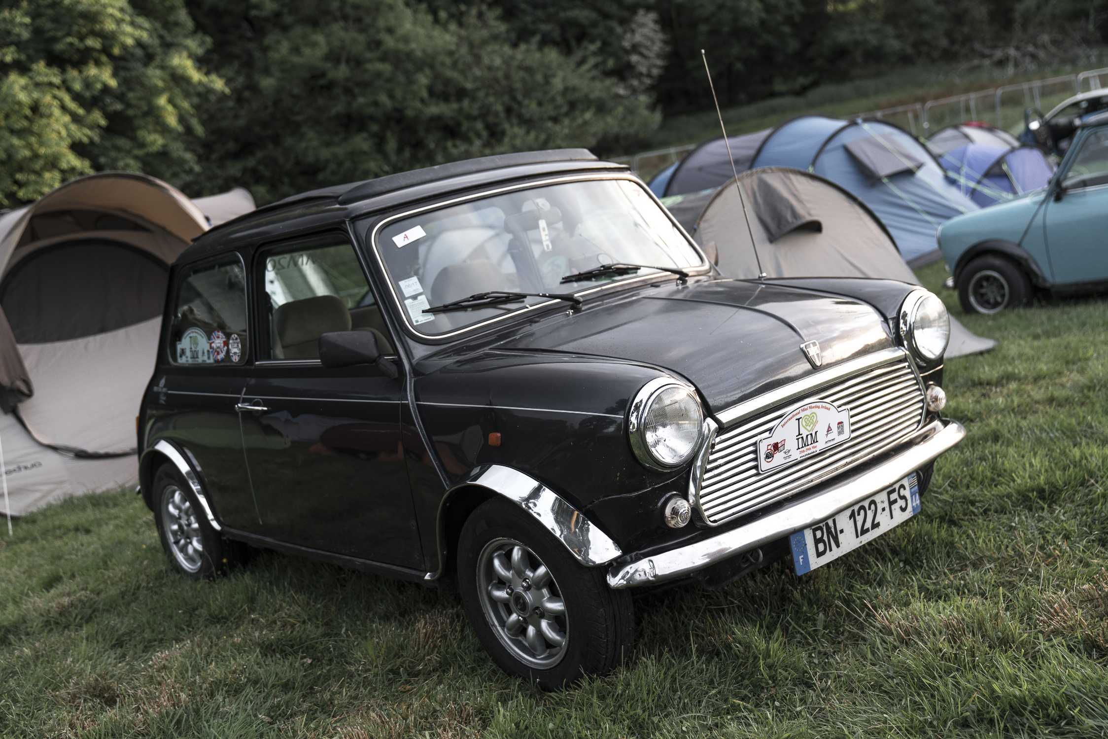 International Mini Meeting 2017. (06/2017)