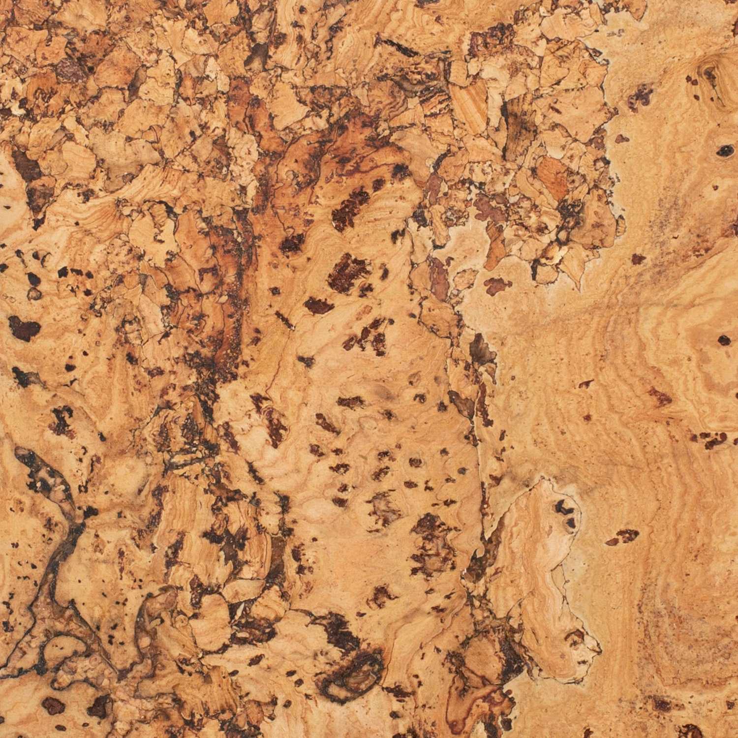 Cork, entirely biodegradable and renewable, comes from the bark of the ...