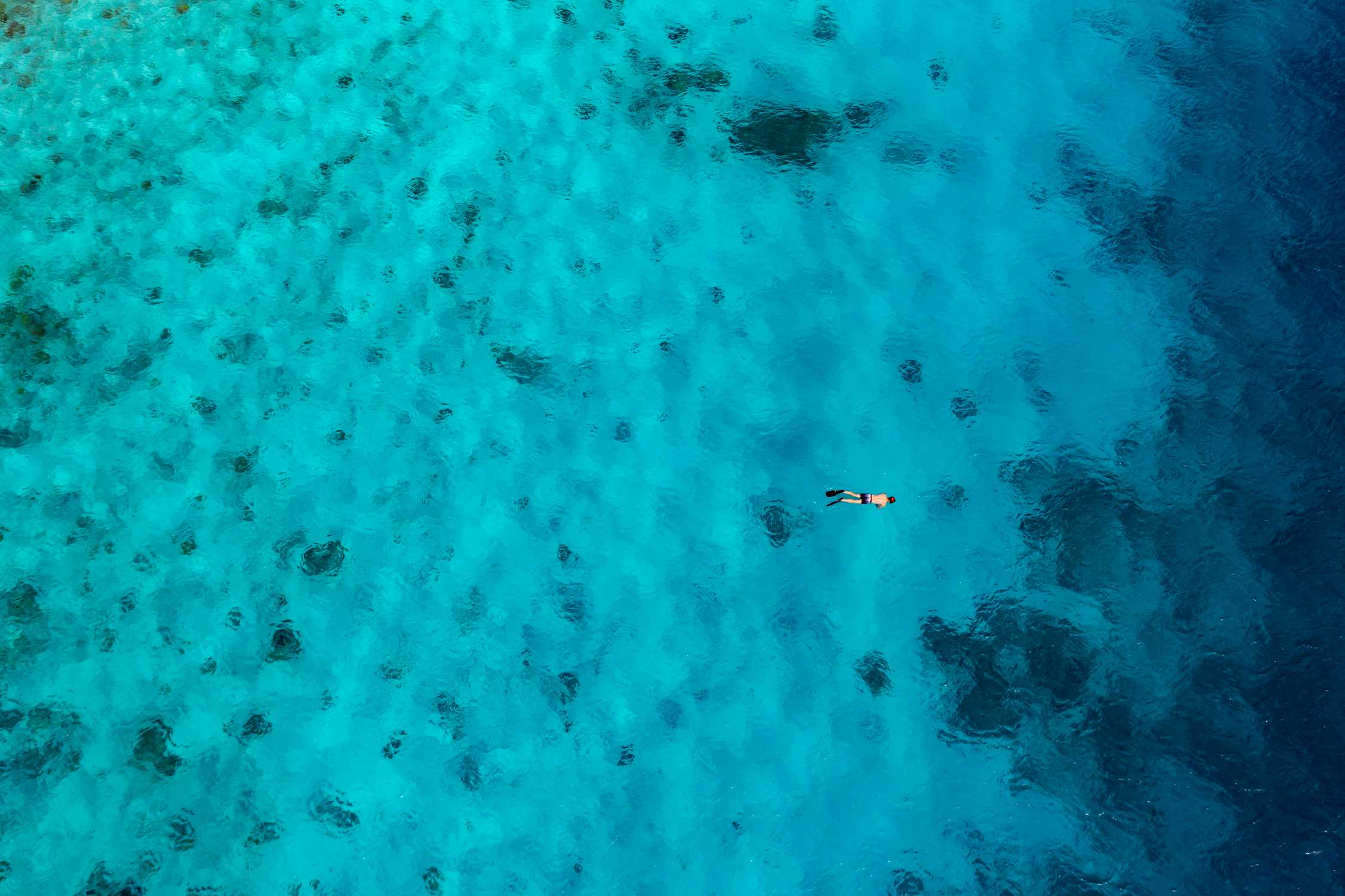 MINI Convertible (05/2022).