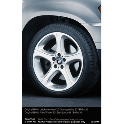 Original BMW Alloy Wheel 20' Star Spoke 87 / BMW X5 (08/2004)